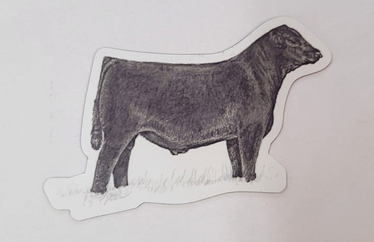 CJ Brown Angus Bull Magnet – Horse Creek Outfitters