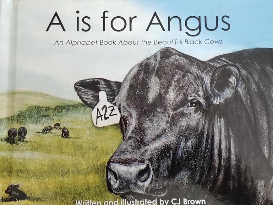 A Is for Angus: An Alphabet Book about the Beautiful Black Cows – Horse ...