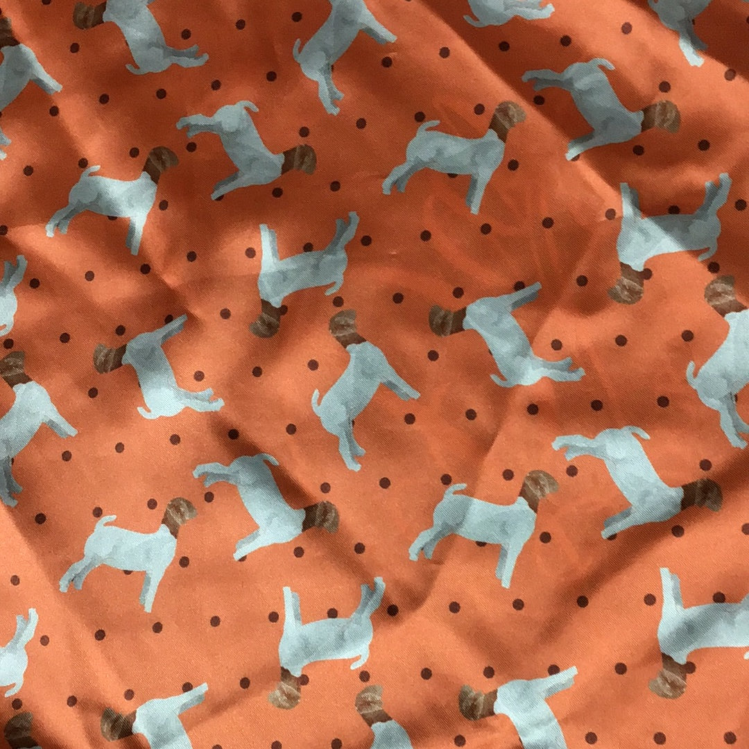 Youth Orange Boer Goat Wild Rag – Horse Creek Outfitters