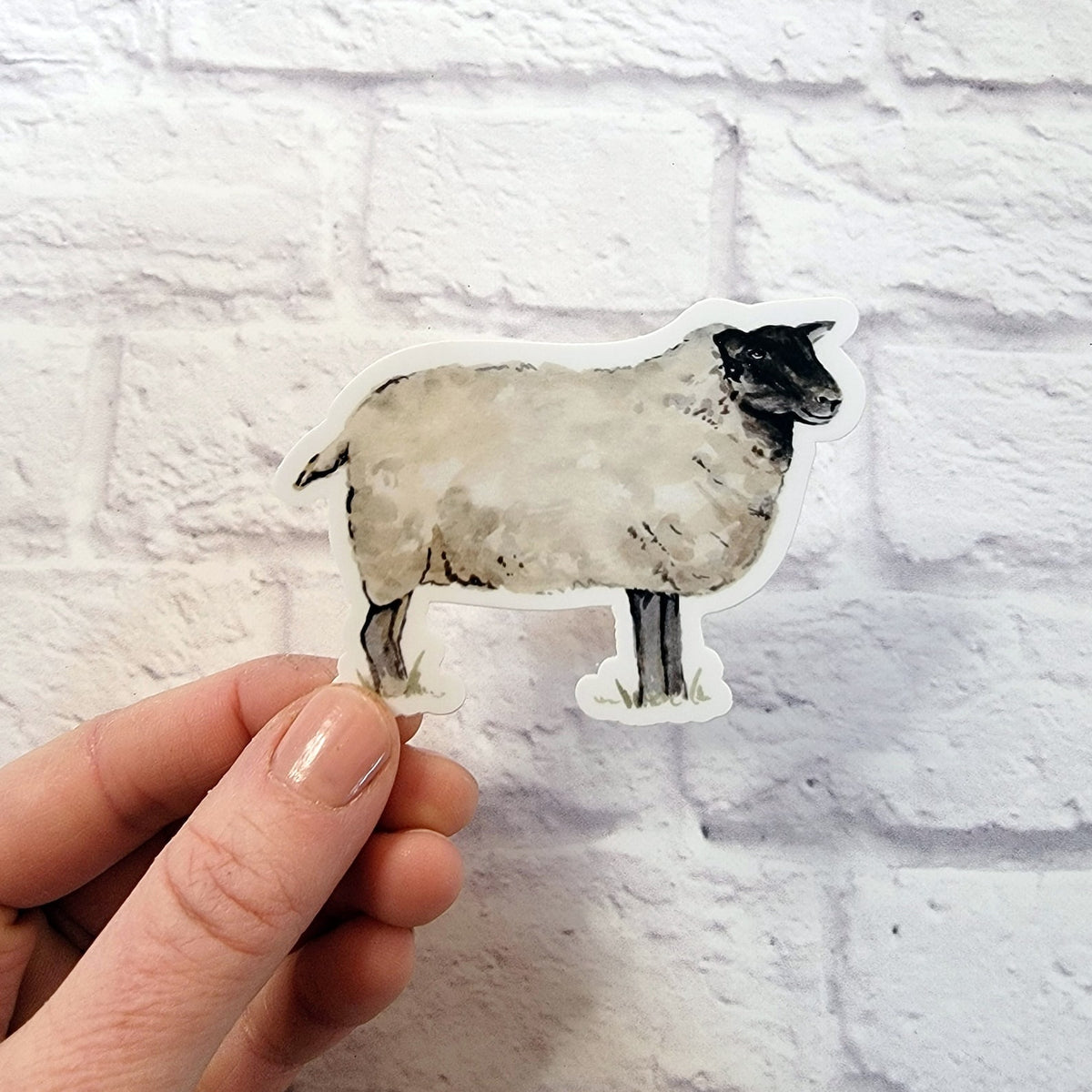Sheep Decal – Horse Creek Outfitters